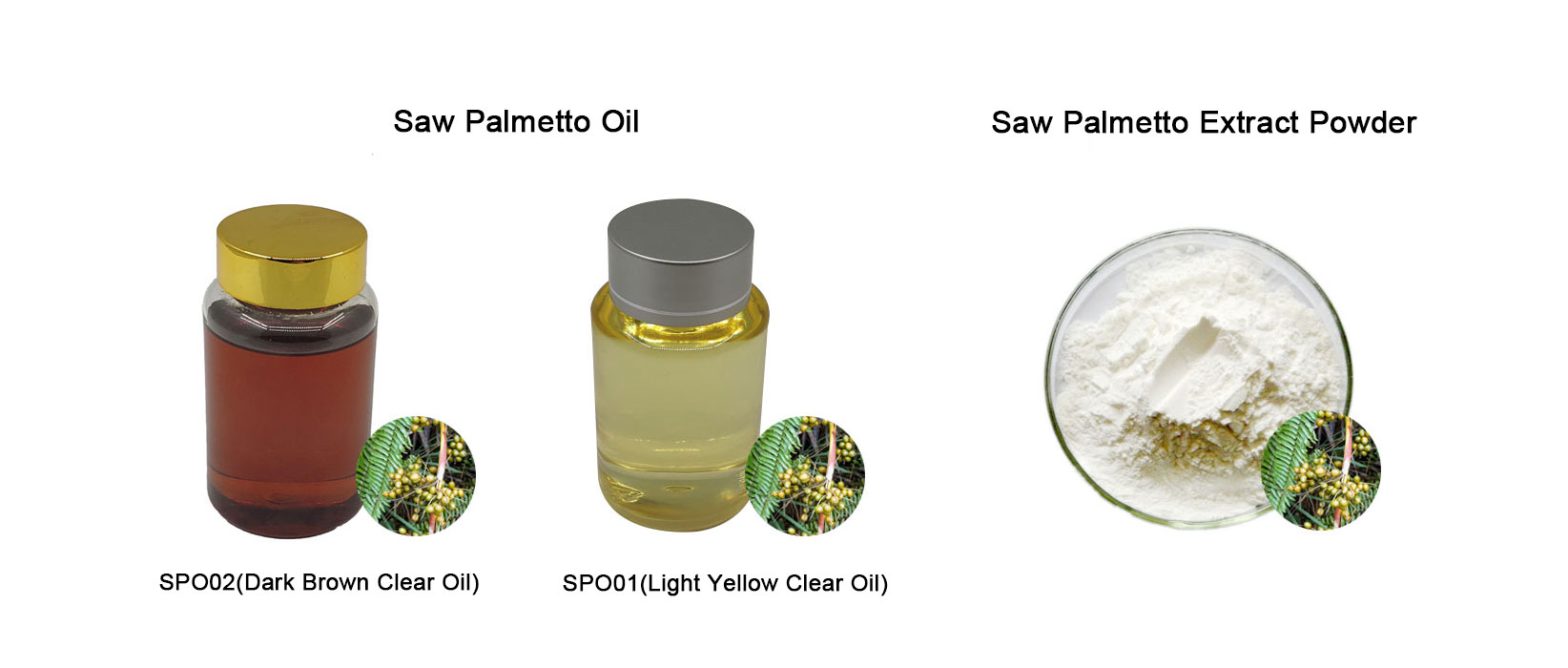 Saw Palmetto Extract Oil And Powder - greenspring